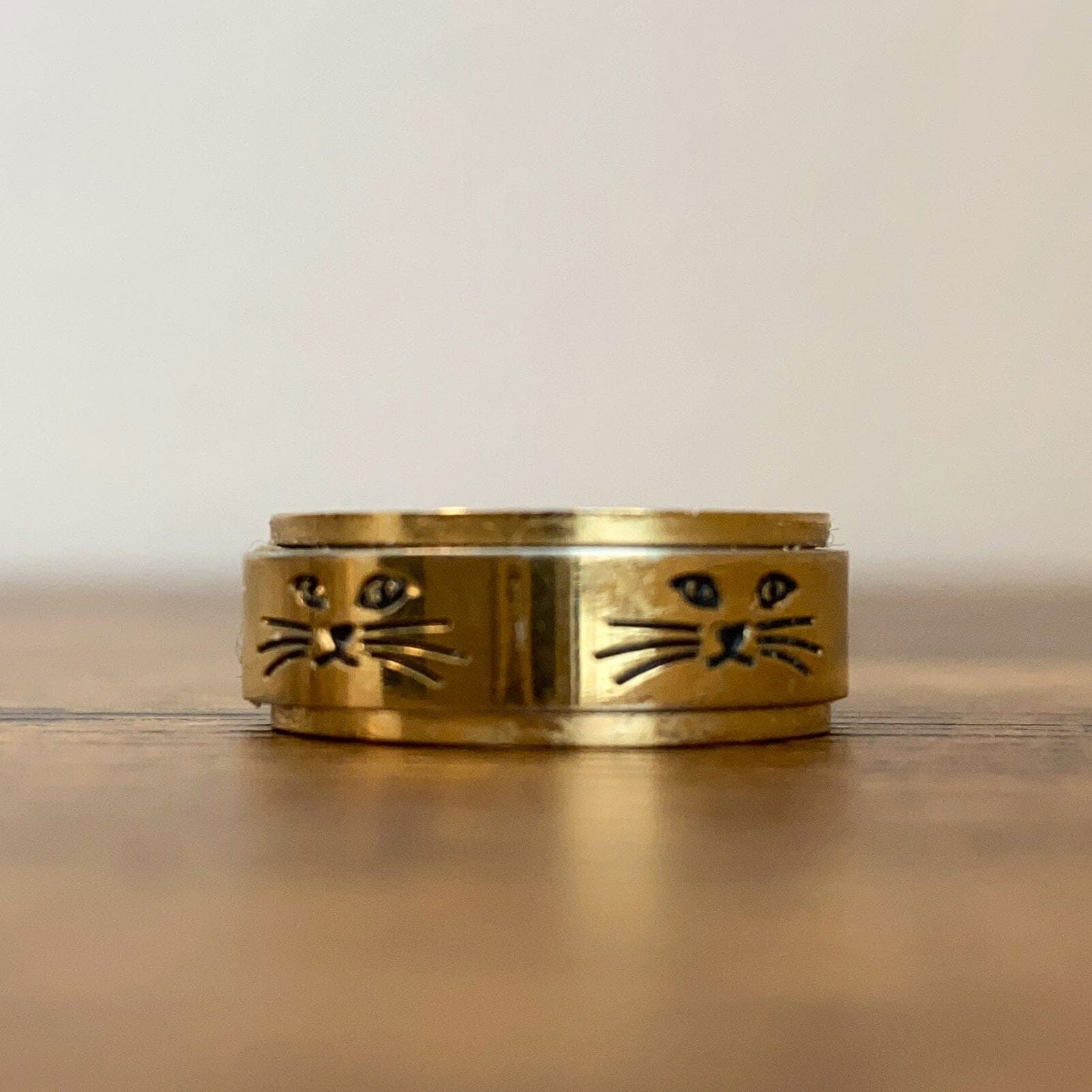Cat spinner ring store